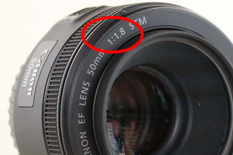 単焦点レンズとは？ | 【初心者向け】photoner port-フォトナーポート-