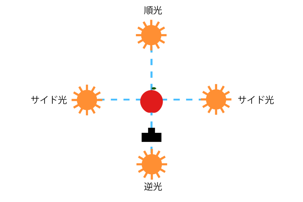 光で変わる、写真の仕上がり～順光・逆光・サイド光～ | 【初心者向け】photoner port-フォトナーポート-