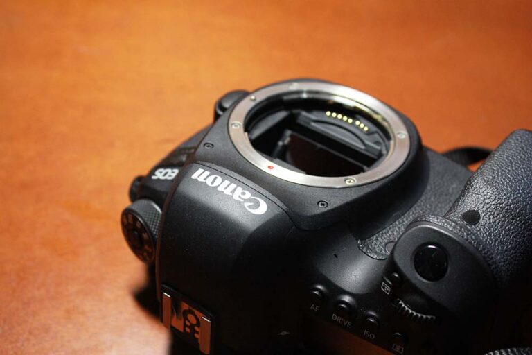 レンズ交換は楽しい！レンズ交換の魅力 | 【初心者向け】photoner port-フォトナーポート-