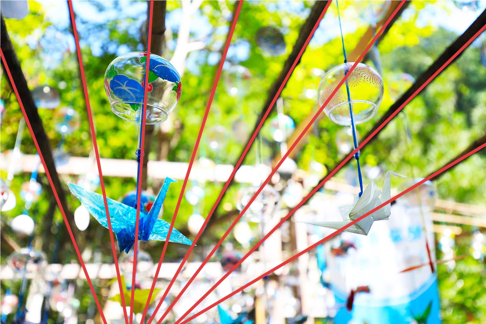 斜線構図～写真の中に線を探そう～ | 【初心者向け】photoner port-フォトナーポート-