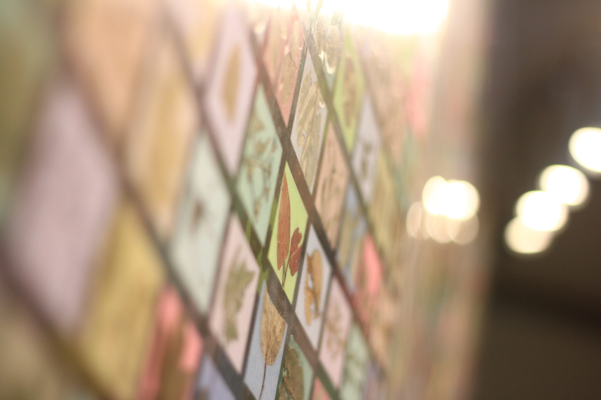 f値を選ぼう～被写体に合わせた最適なf値を～ | 【初心者向け】photoner port-フォトナーポート-